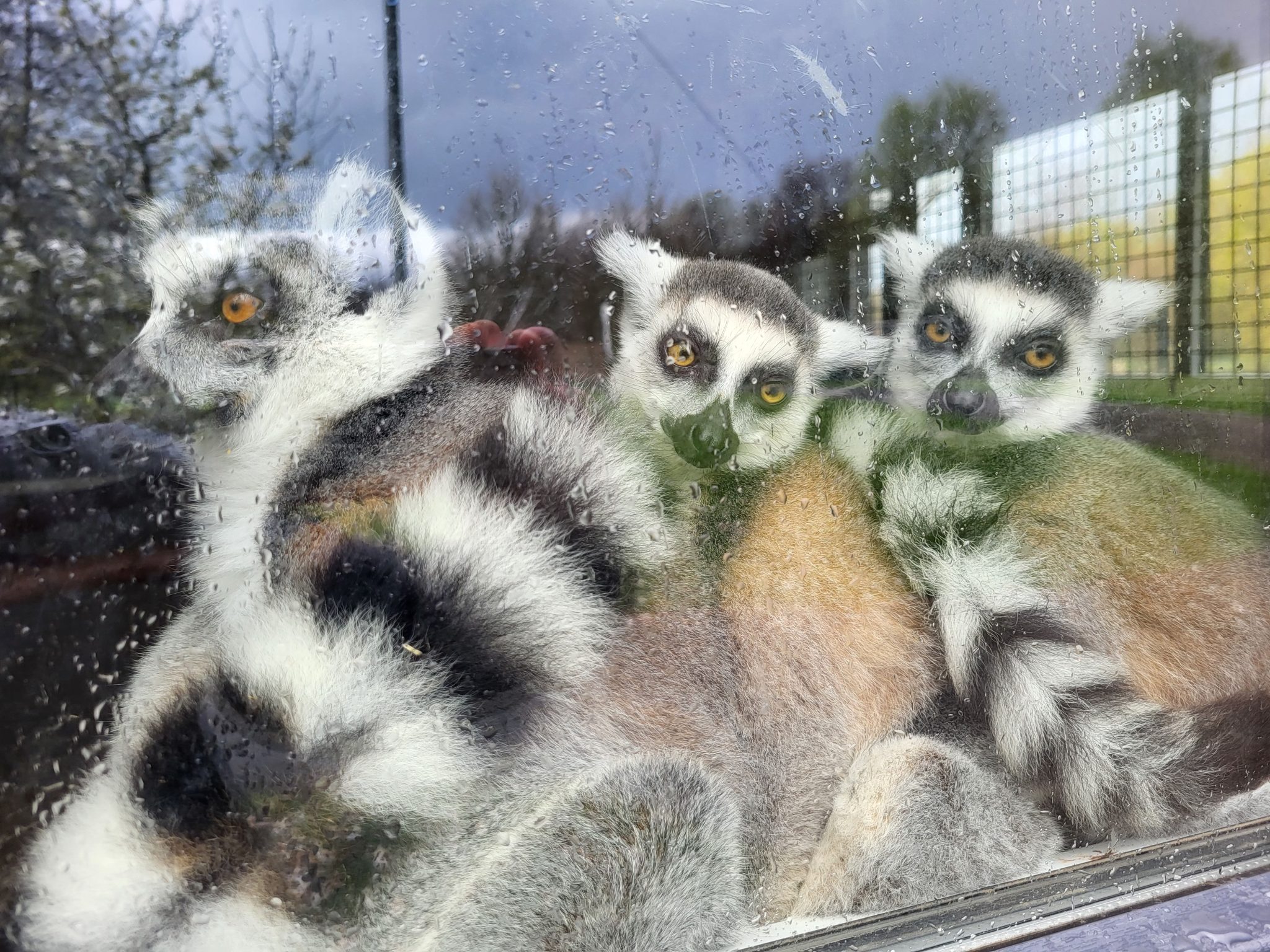 Mondo Verde - Stichting Bite Back