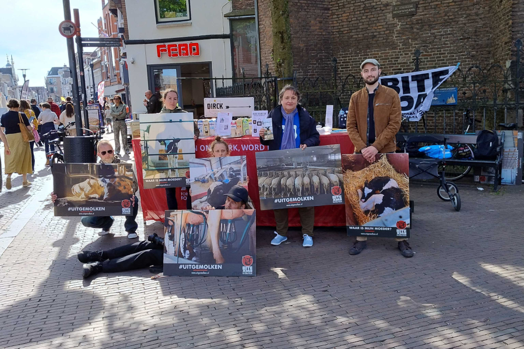 Home - Stichting Bite Back